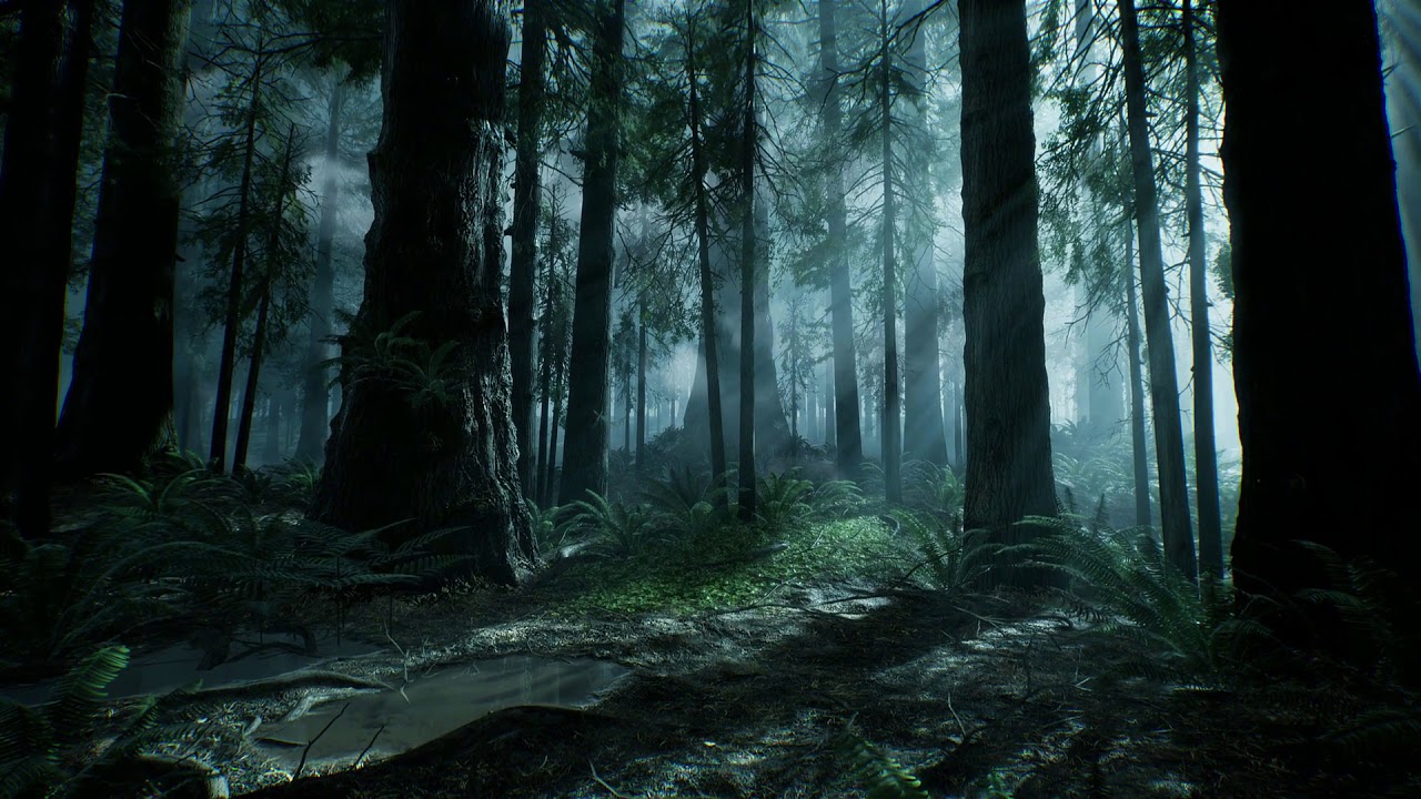 The Forest - 60 FPS - YouTube