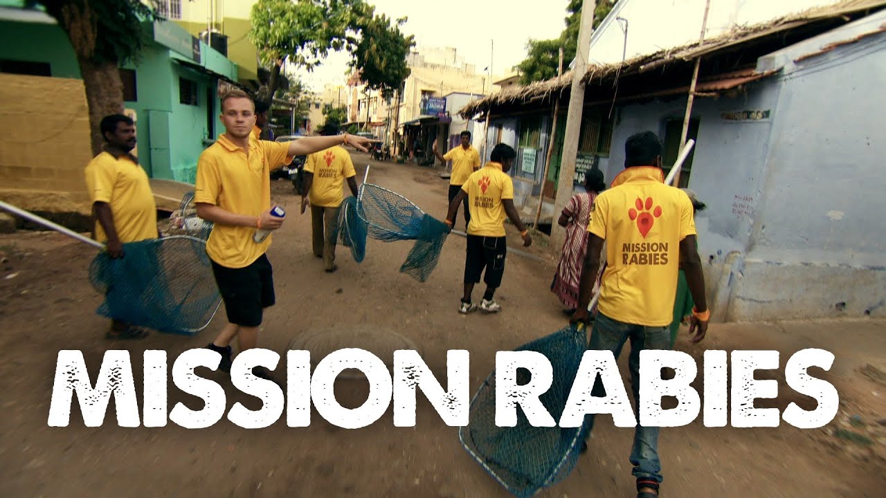 Mission Rabies Film - YouTube