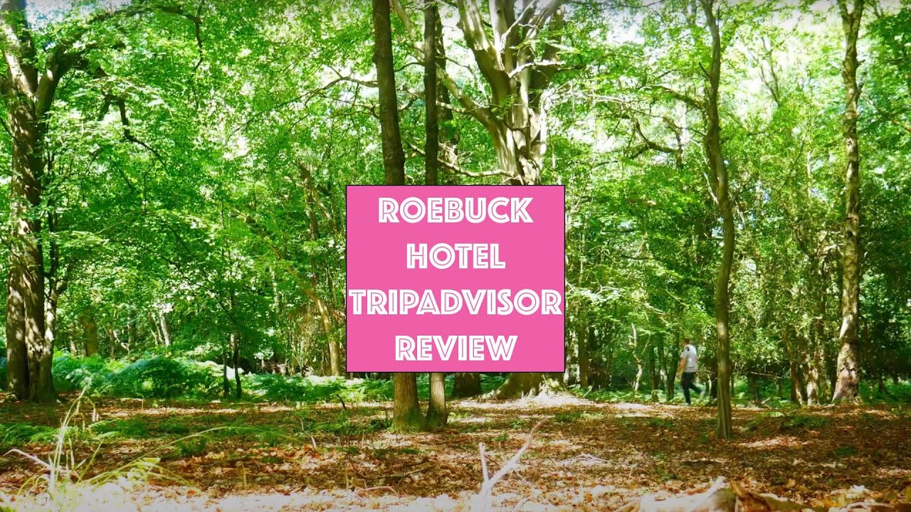 Roebuck Hotel FOREST ROW Tripadvisor REVIEW - YouTube