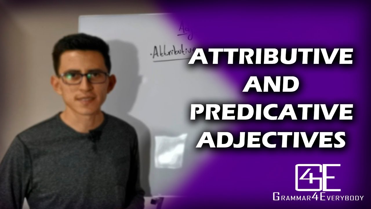 ADJECTIVES: ATTRIBUTIVE AND PREDICATIVE ADJECTIVES - YouTube