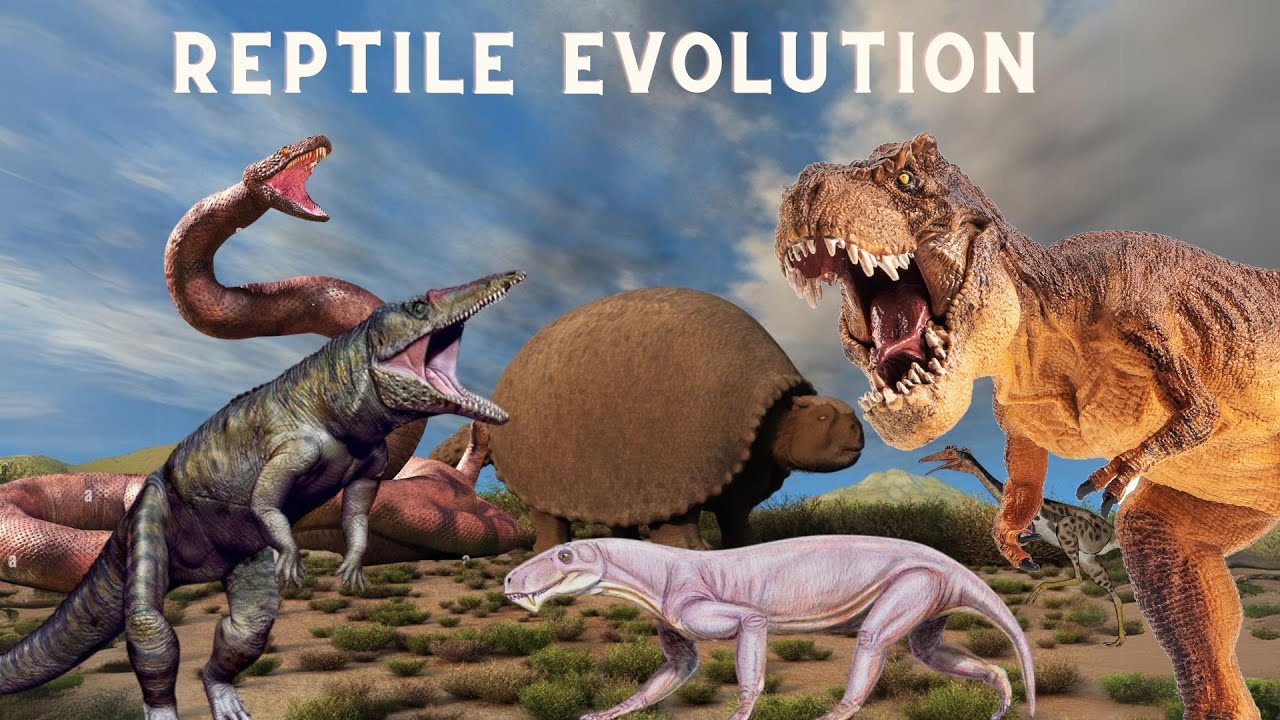 The unique evolution of reptiles from prehistory to the present - YouTube
