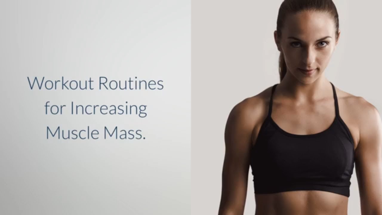 Bodybuilding online course LESSON 2 - Workout Routines for Increasing ...