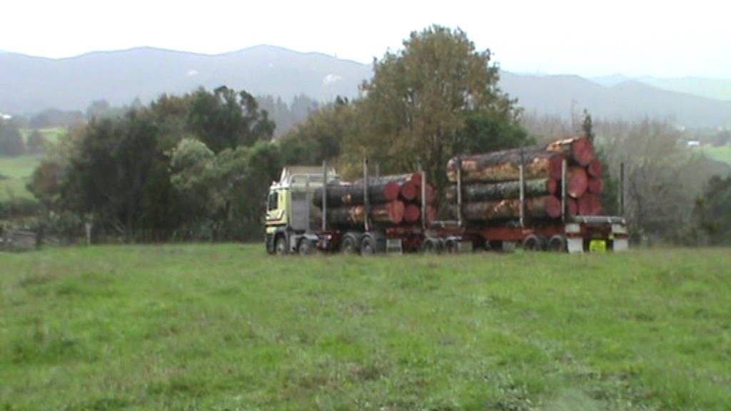 Another load of logs logging northland - YouTube