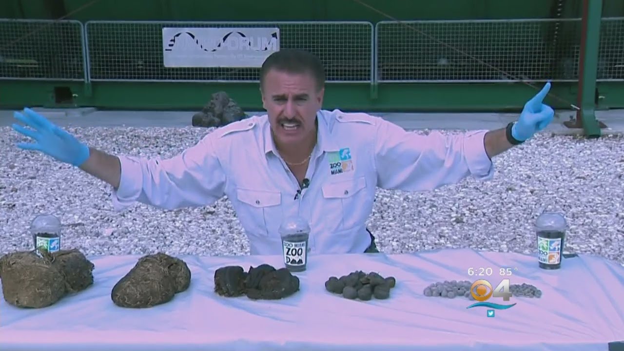 Zoo Miami Turns Animal Poop Into 'Zoo Doo' Compost - YouTube