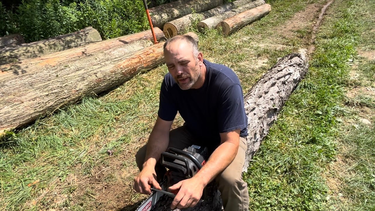 A horselogger looks back on the changes in logging during the last ...