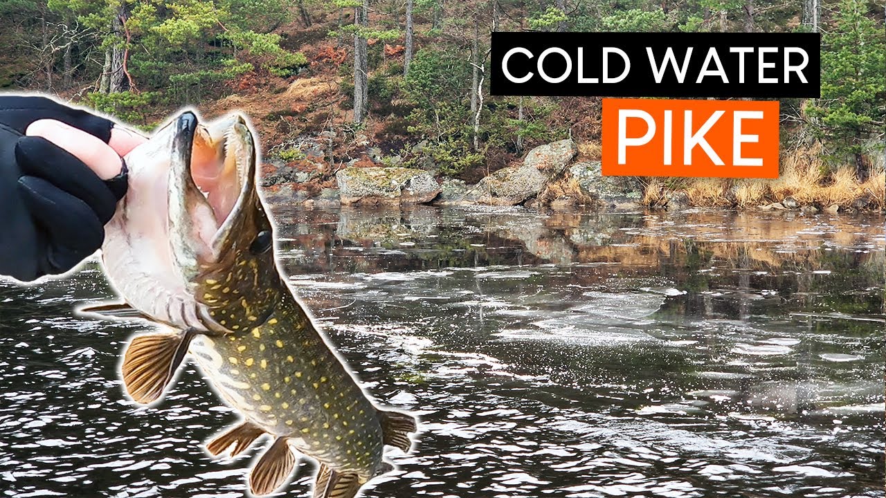 Winter PIKE FISHING in freezing cold water! - YouTube