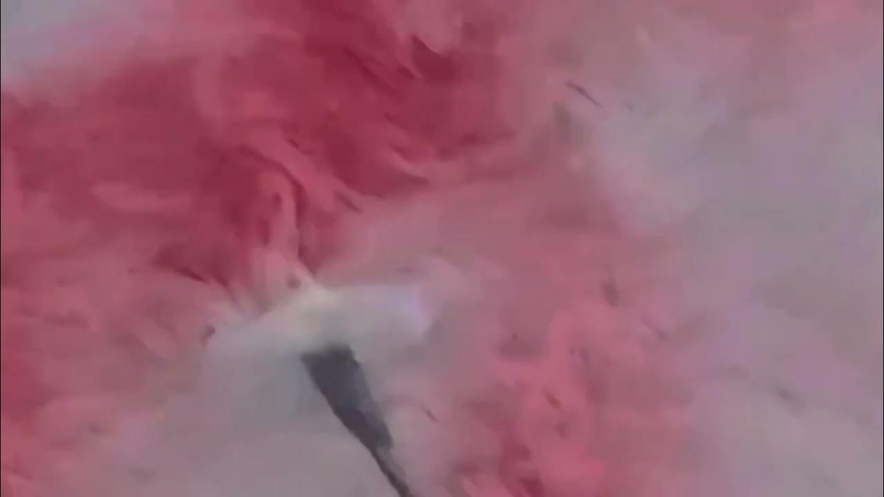 SOLO UNA VEZ-ARIANA GRANDE,KALI UCHIS-(VISUALIZER) - YouTube