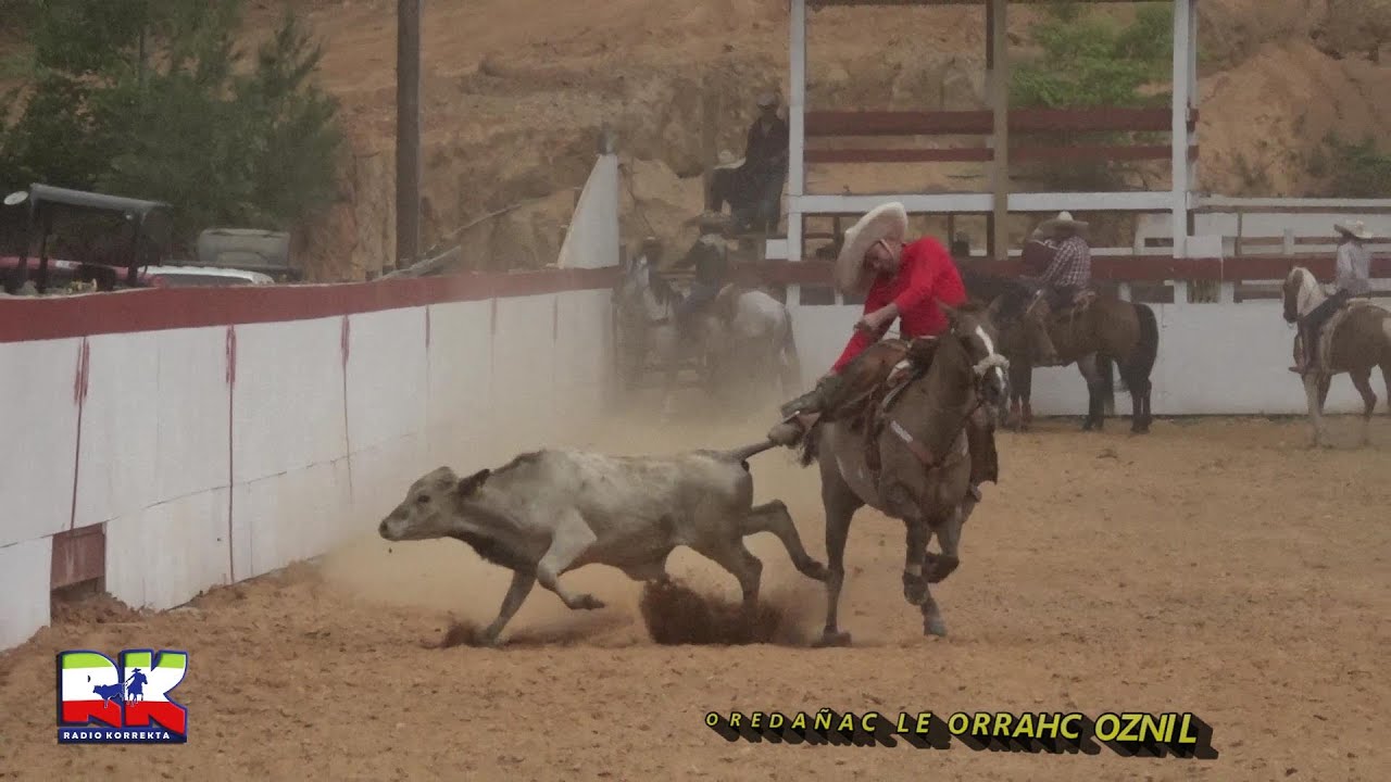 COLEADERO EN EL LIENZO CHARRO EL CAÑADERO DE GLADYS VA 11-05-2024 - YouTube