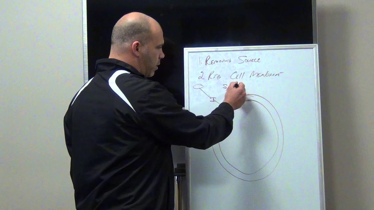 Dr Joe Clarino Regeneration of the Cell Membrane - YouTube