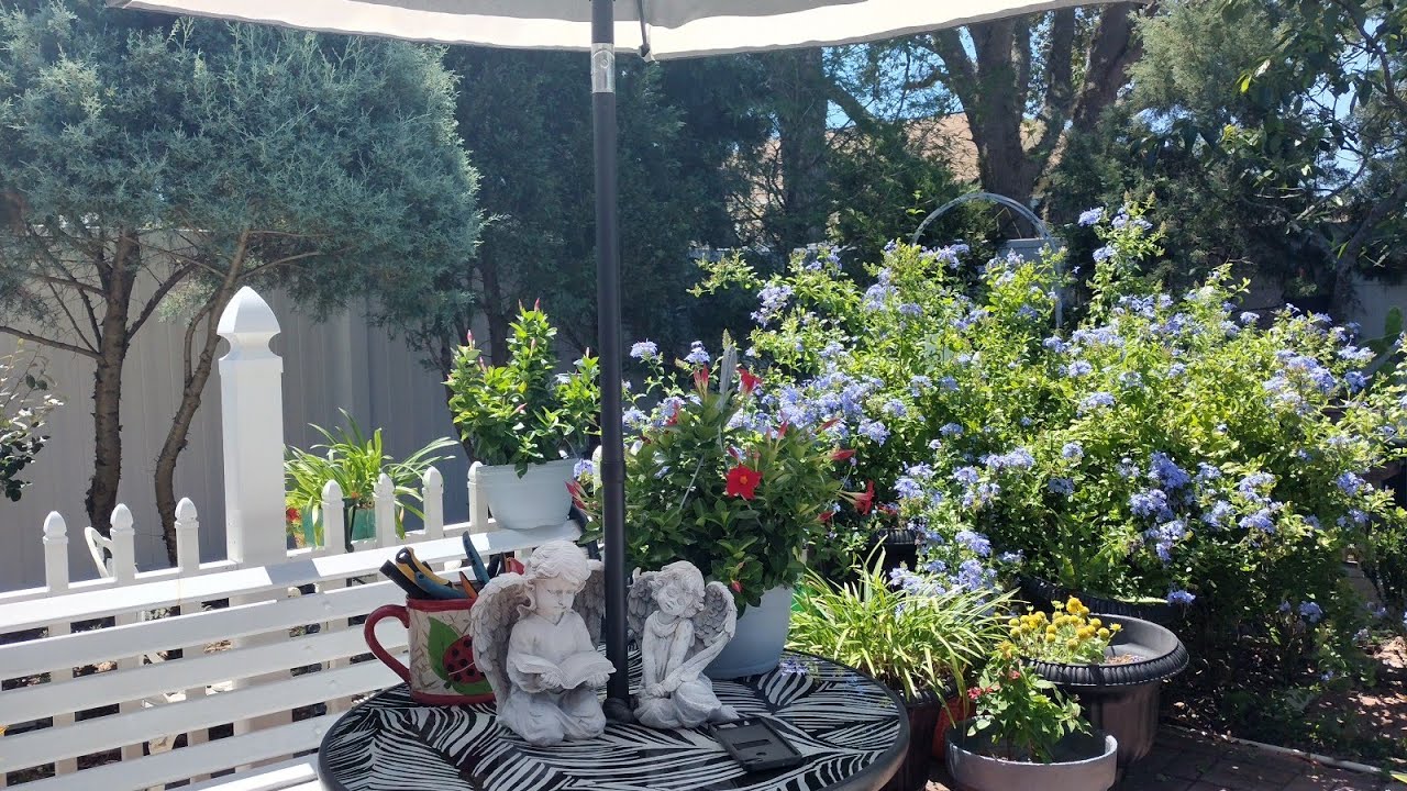 TIPS & IDEAS ARA is going live! Cleaning My Garden - YouTube