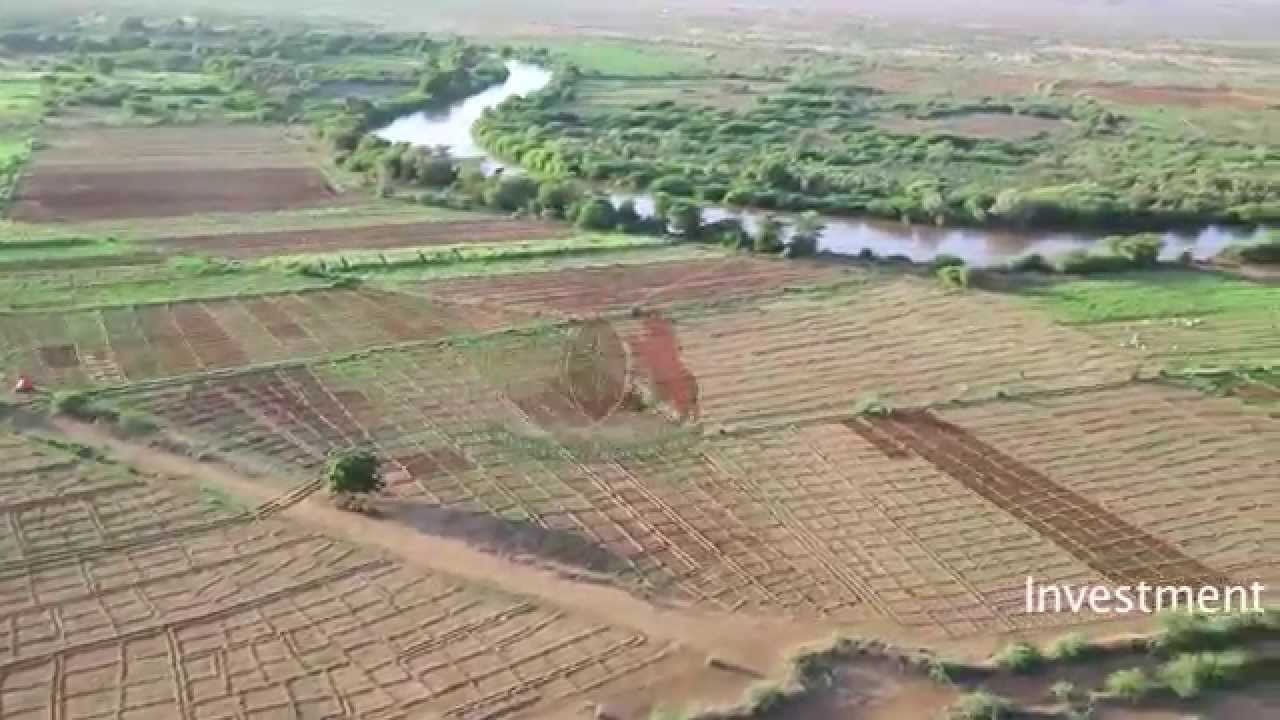Farming in Mandera - YouTube