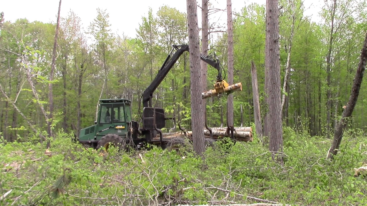 Timberjack 1010B Double Bunk Forwarder - YouTube