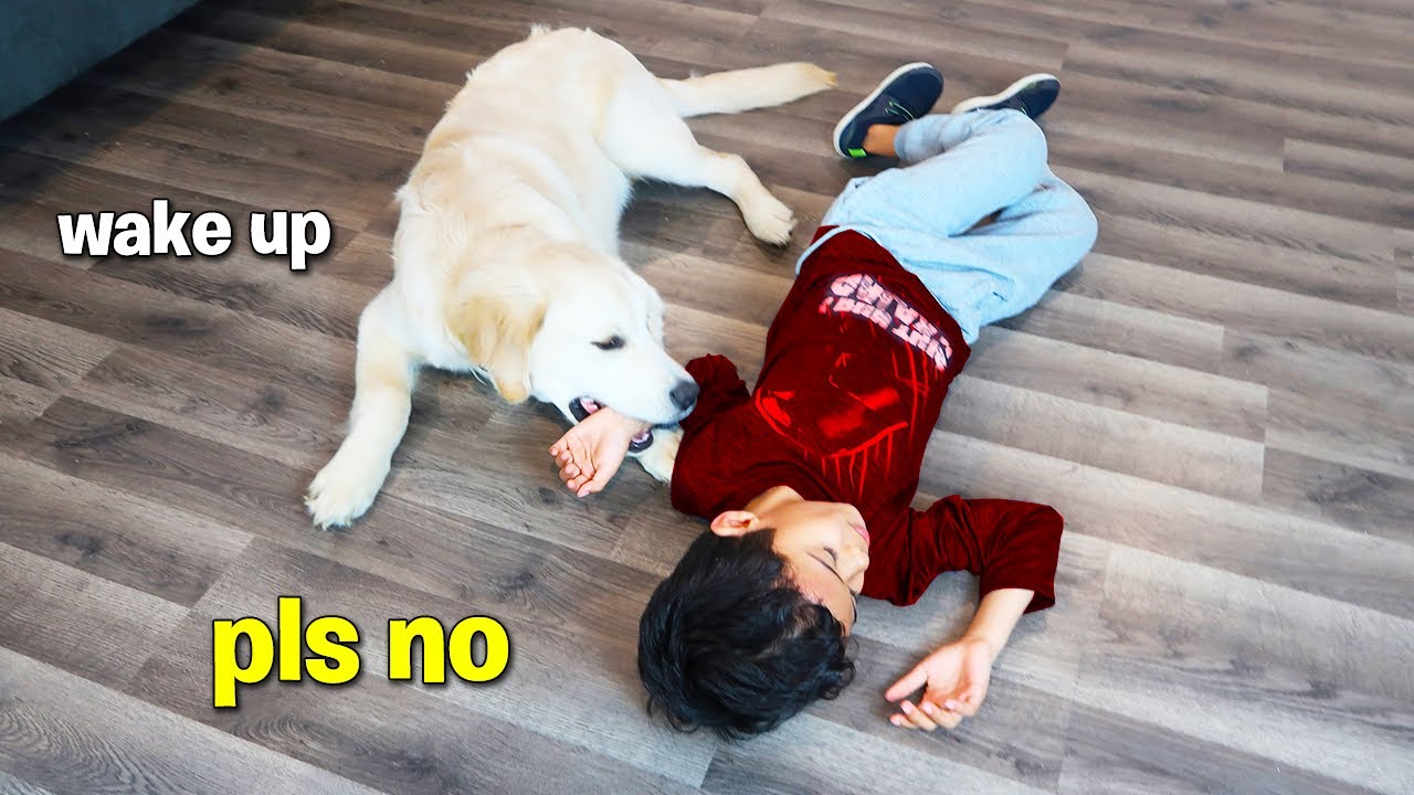 FAKING My DEATH In Front of My DOG! - YouTube