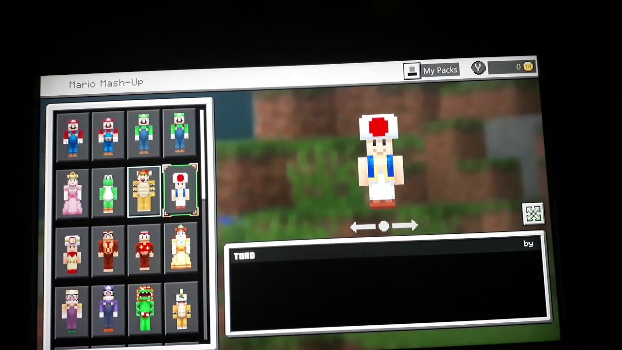 Minecraft - All Mario Mash-Up Skins (Switch, U.S./🇺🇸) - YouTube