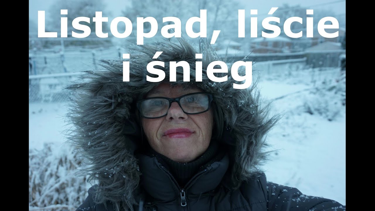 Listopad, liście i pierwszy śnieg. - YouTube