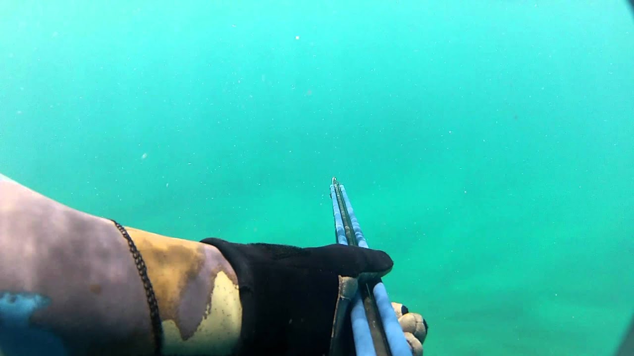 GOPRO Spearfishing Natal Stumpnose - YouTube
