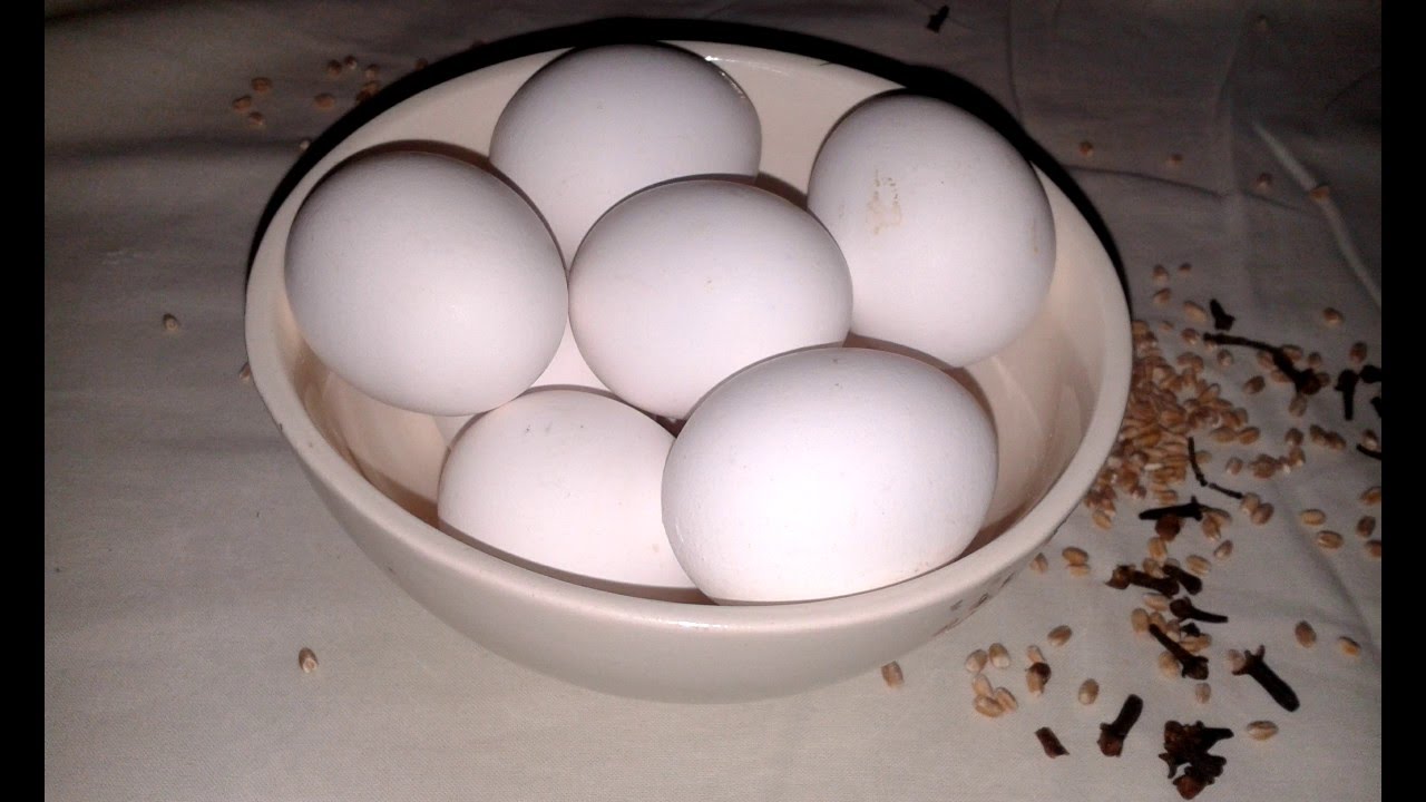 How to Determine Curse Using Egg. Interpretation and Meaning, which ...