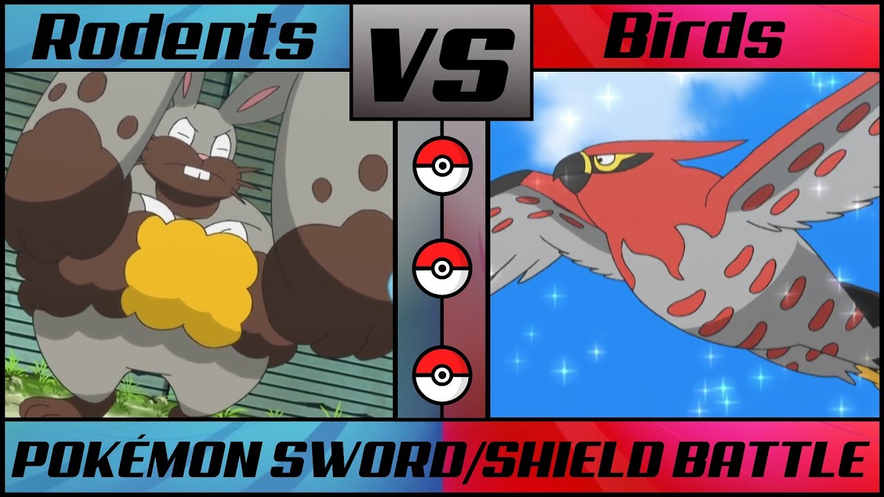 REGIONAL RODENTS vs REGIONAL BIRDS | Pokémon Sword/Shield Battle - YouTube