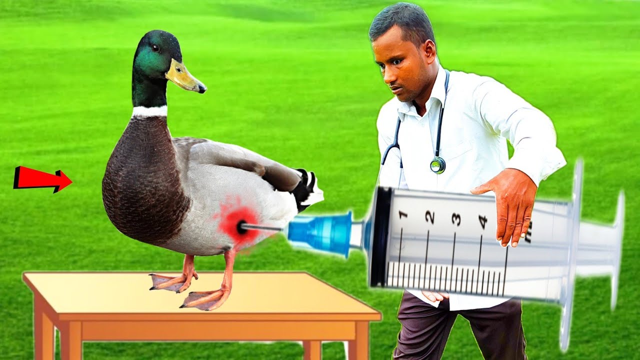 Must Watch New Comedy Video 2023 Injection Wala Funny Video New Doctor ...