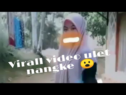Virall❗video tiktok ulat belatung @LENSABUDAYASASAK