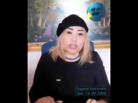 NEYLESİN  #YEGANE SERÇUVARLI