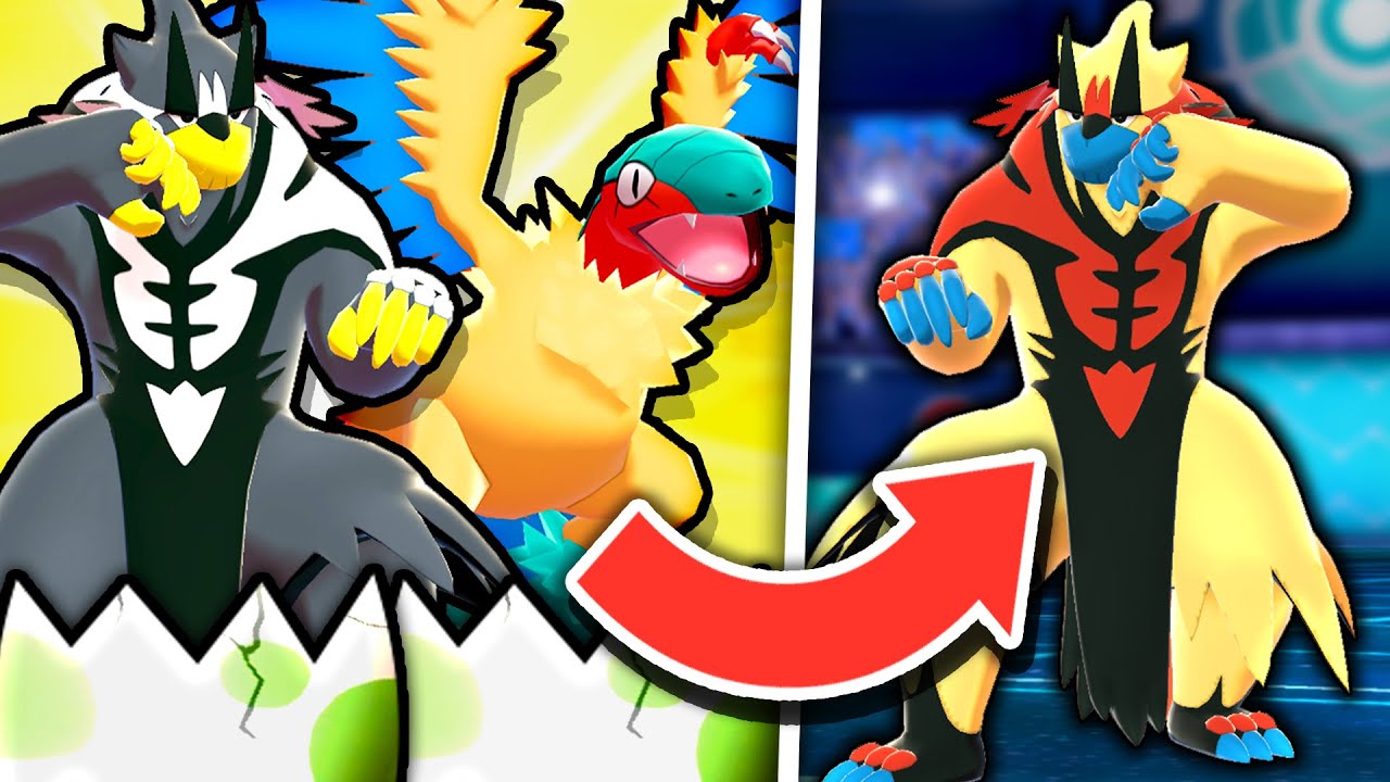 We Fused Random Pokemon Eggs Together, Then We Battle! - YouTube
