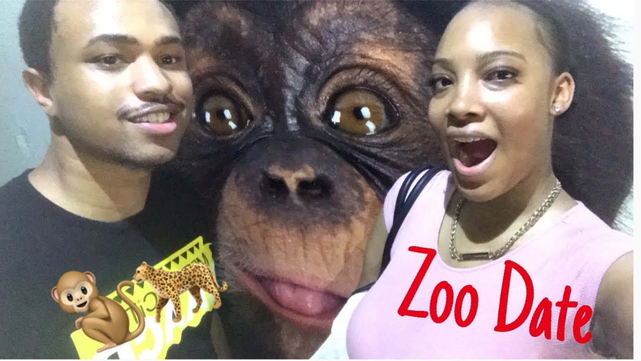 ZOO DATE VLOG - YouTube