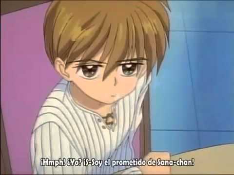 Akito Hayama Voice Actor