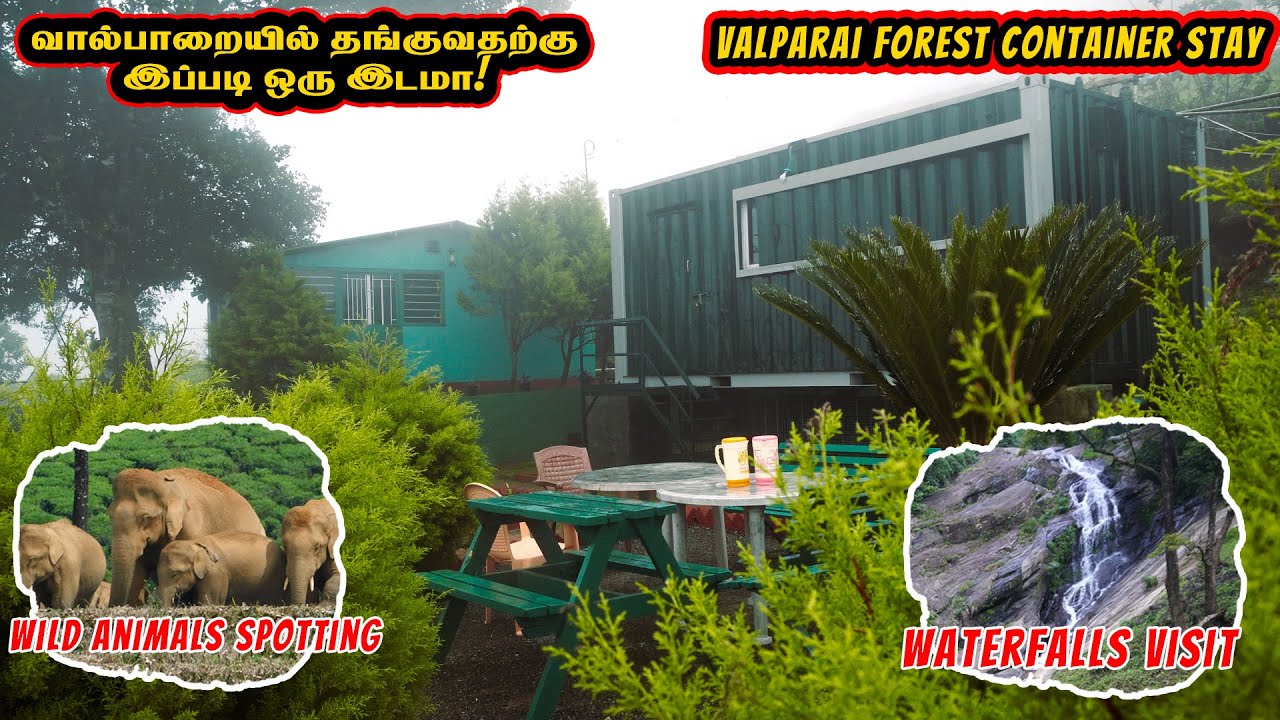 Best stay in Valparai 😍 Valparai container Stay I Valparai Vlog part-2 ...