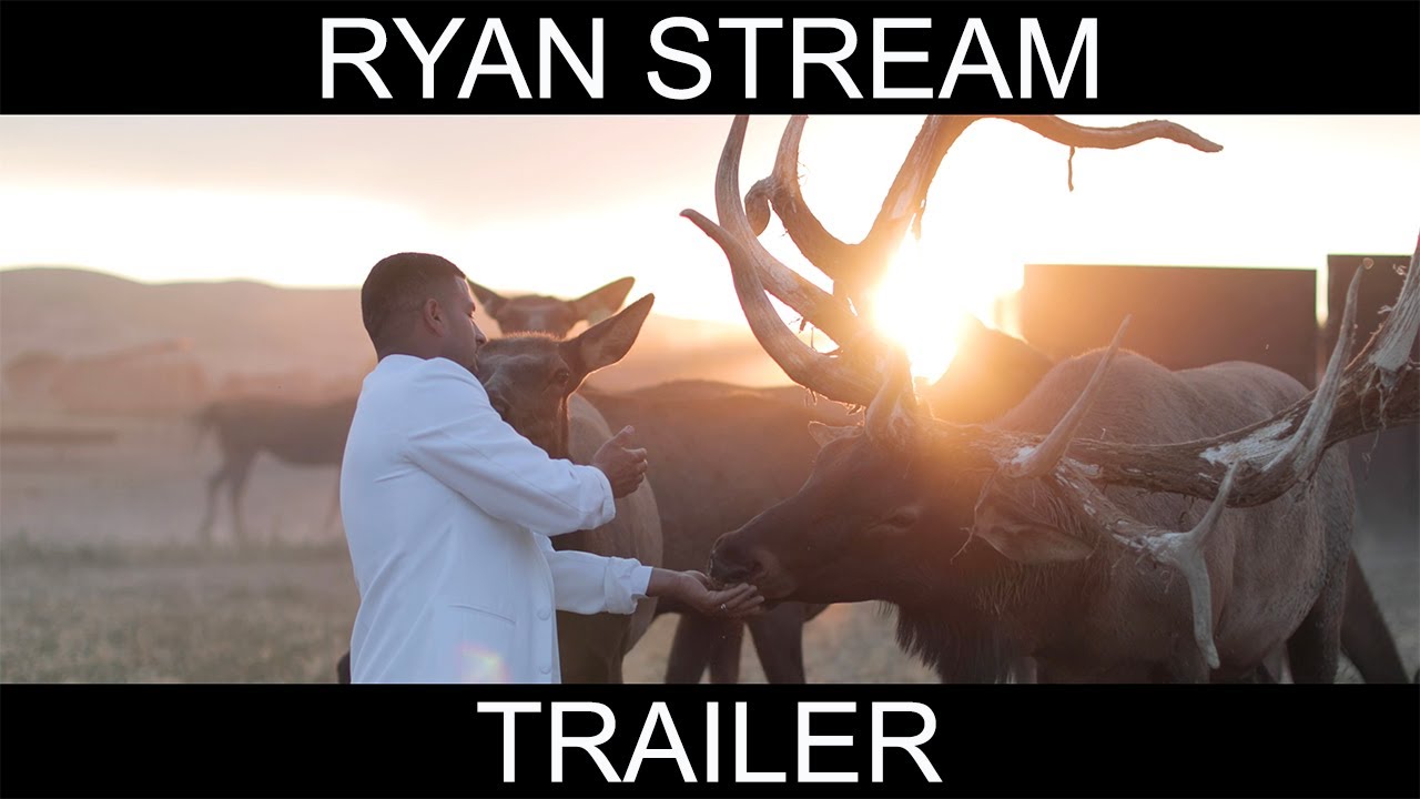 Ryan Stream - Trailer - YouTube