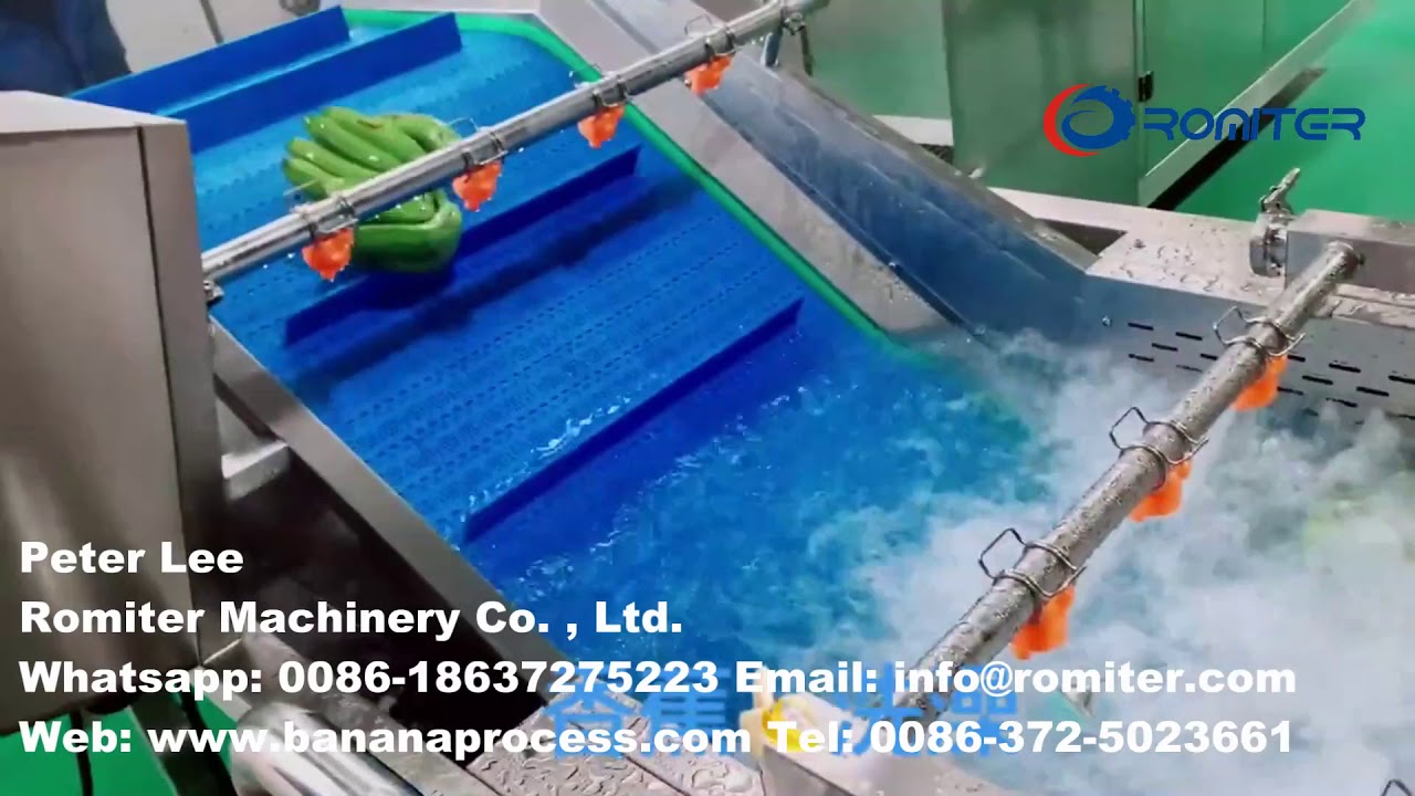 Automatic Banana Water Washing Machine - YouTube
