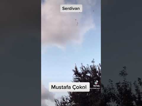 Sen onu seversin ..! Aşık olursun..! Oysa ..! O senin aşkını anlamaz.! ( ADI SEVDA MI NE )