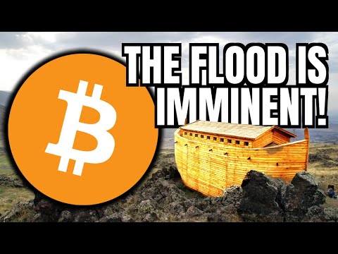 Will You SURVIVE the USD MONEY FLOOD??? 🤣⚓️🌊 - YouTube