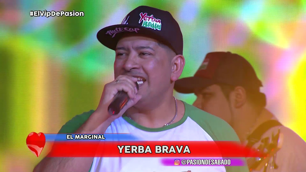 Yerba Brava en #ElVipDePasion en Pasion de Sabado 18 8 2018 - YouTube