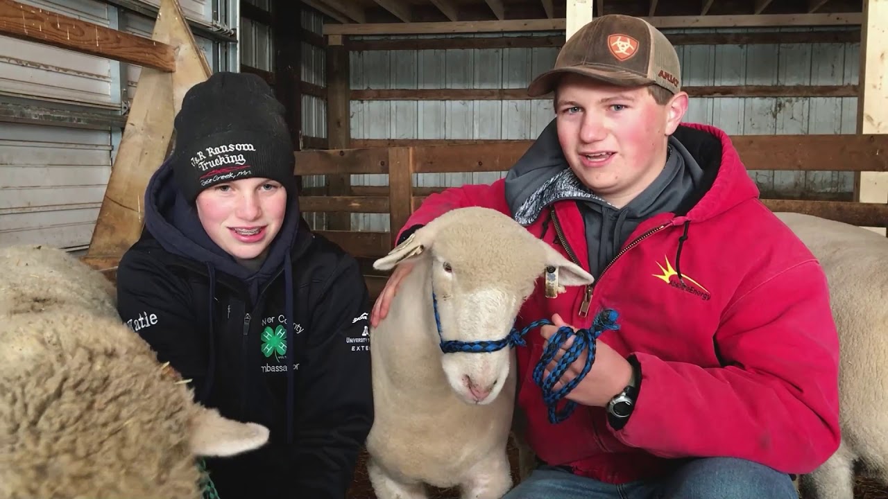 Austin FFA 2020 3rd Grade Virtual Day on the Farm - YouTube
