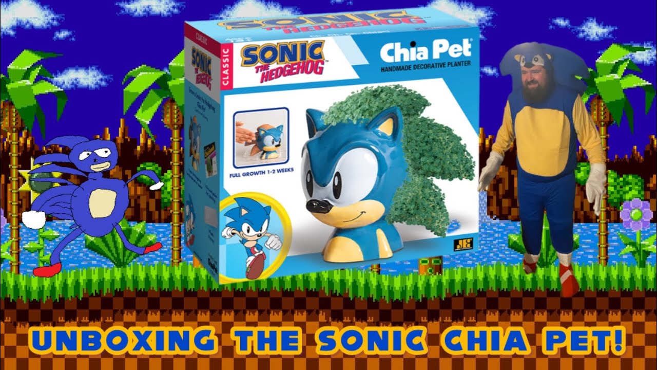 Unboxing the Sonic Chia Pet and learning if the commercials were ...