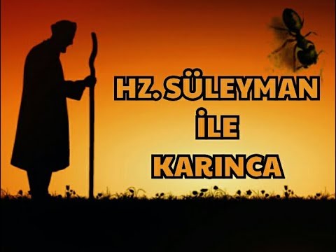 HZ.SÜLEYMAN VE KARINCA KISSASI