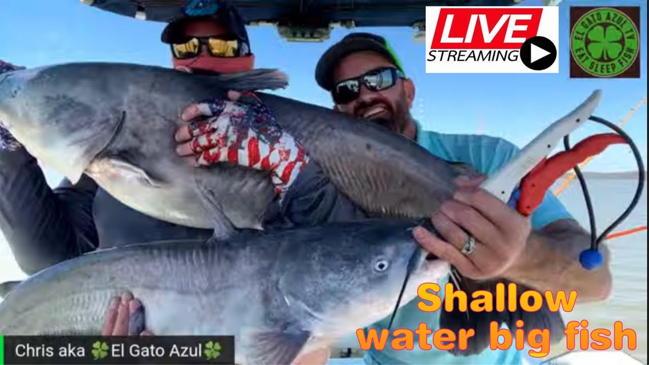 Live Shallow water Catfishing Big fish takedowns with 40 lbrs @ 4:02 ...