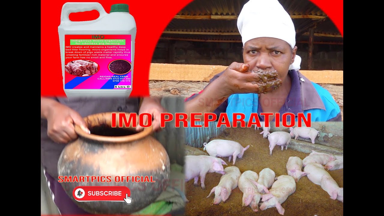 IMO MAKING PROCESS - YouTube