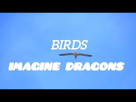Birds imagine dragons (lyrics) - YouTube