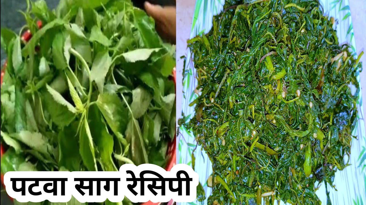 Saag Recipe | Patwa Sag Recipe | Village Style Saag Recipe - YouTube