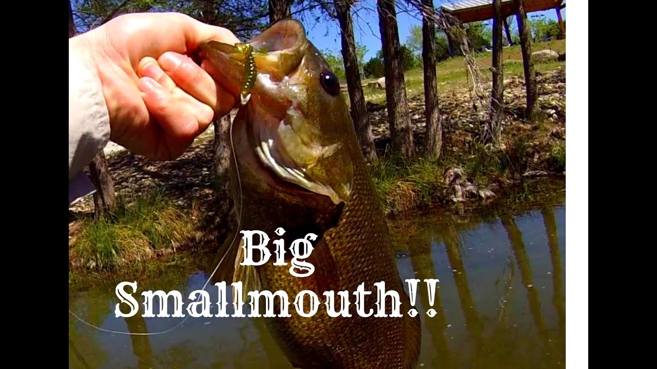 I CAUGHT A BIG SMALLIE!!! - YouTube