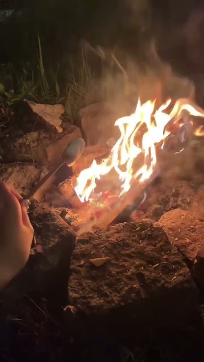 Make a S'mores by the campfire | thegreenagate #shorts - YouTube