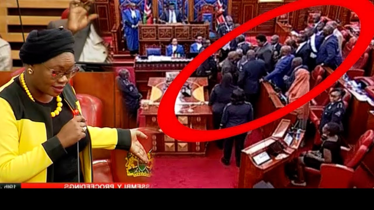 War erupt in Parliament, Gathoni Wamuchomba almost beaten for wearing ...
