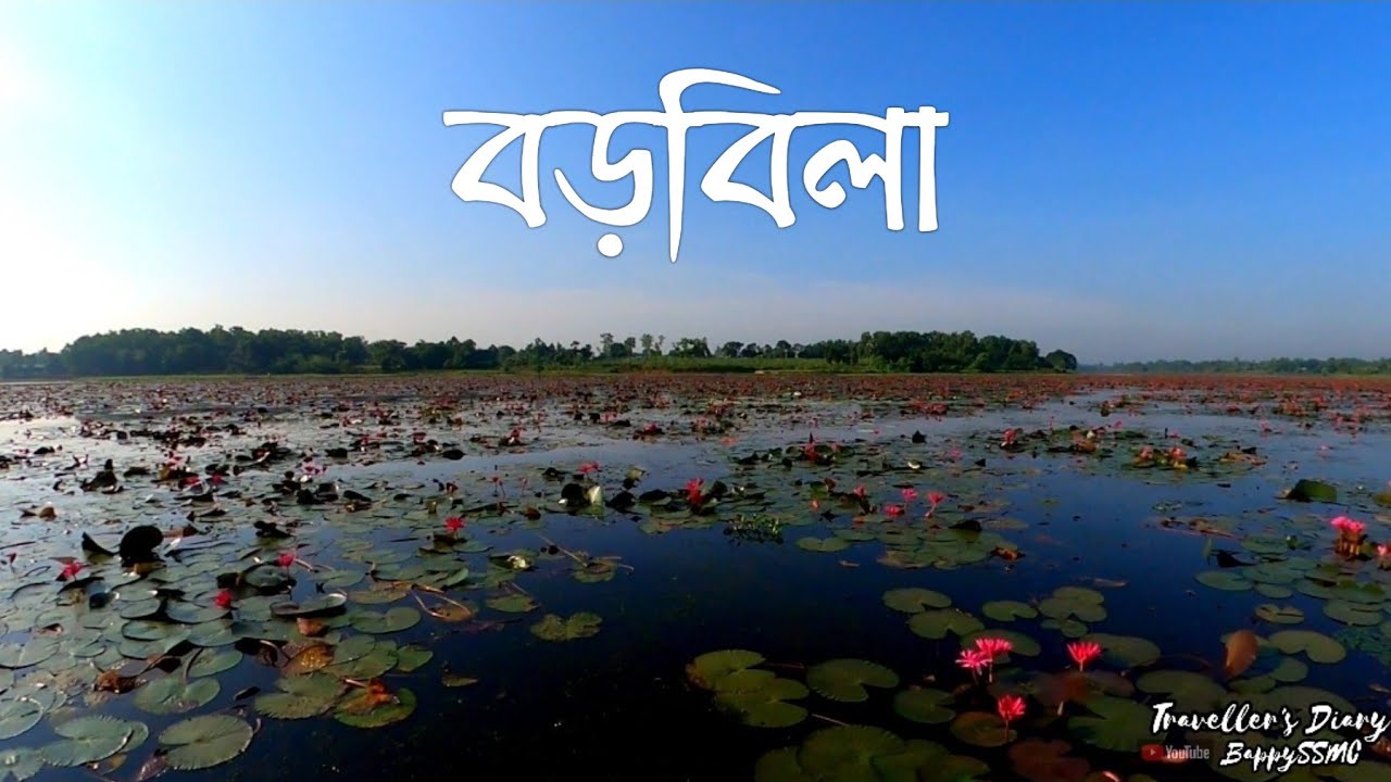 বড়বিলা পদ্মবিল , ফুলবাড়িয়া, ময়মনসিংহ Borobila, Fulbaria, Mymensingh ...
