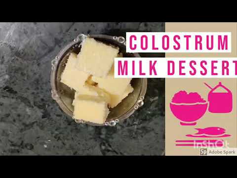 Junnu Recipe | Colostrum milk dessert in just half an hour | Kharvas ...