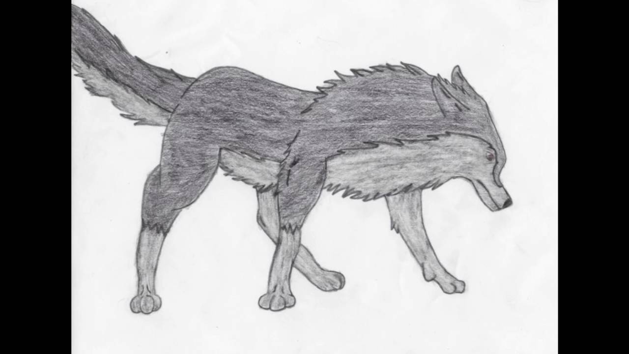 Fanart For GoldenWolf248 - YouTube
