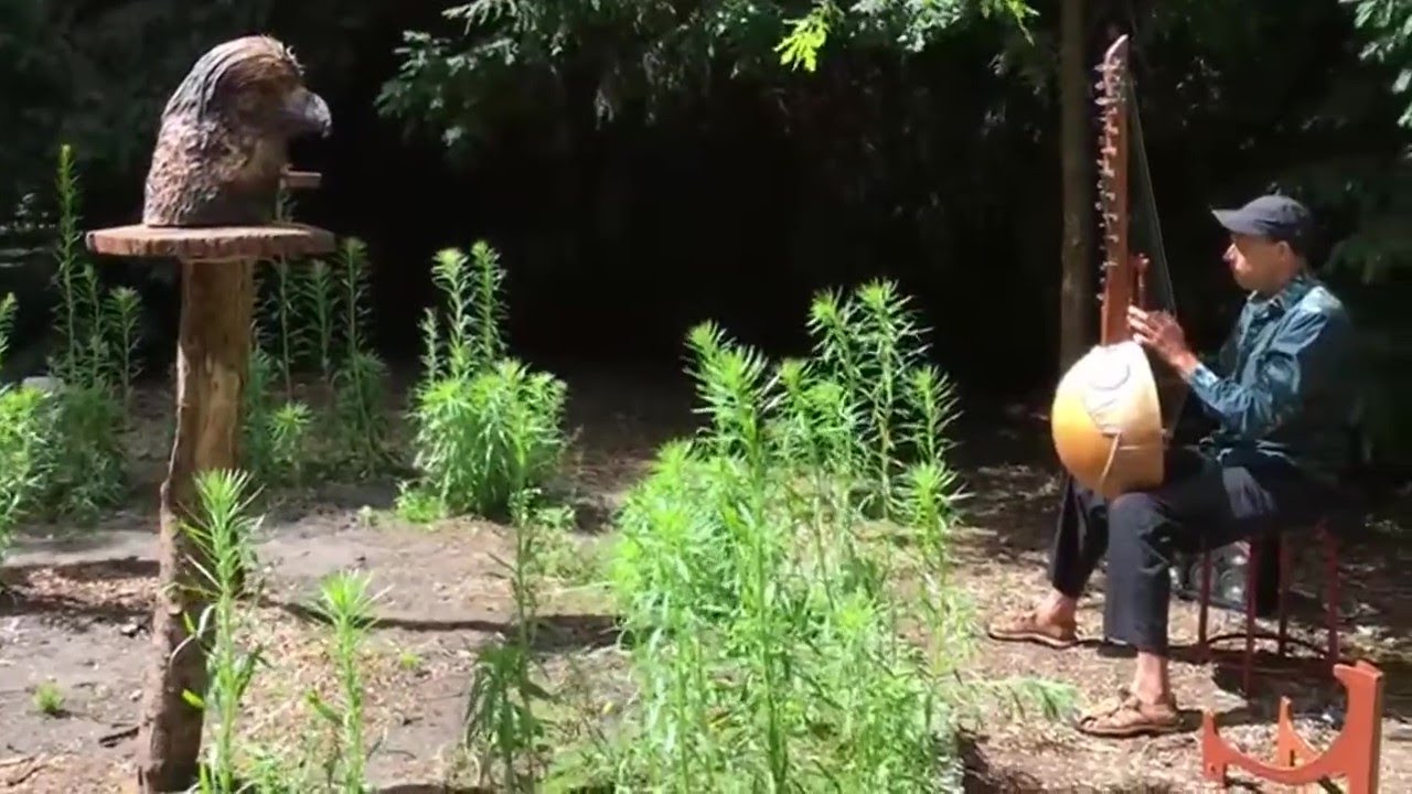 Kora Concert for birds🕊 - YouTube