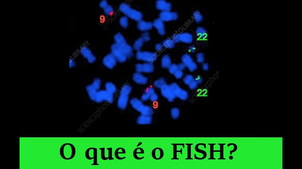 FISH - Hibridização In Situ Fluorescente - DNA Brilhante! - YouTube