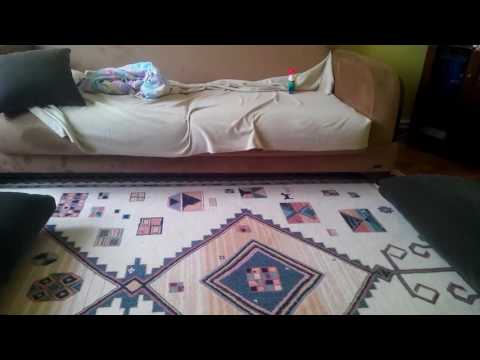 güreş yapan veletler